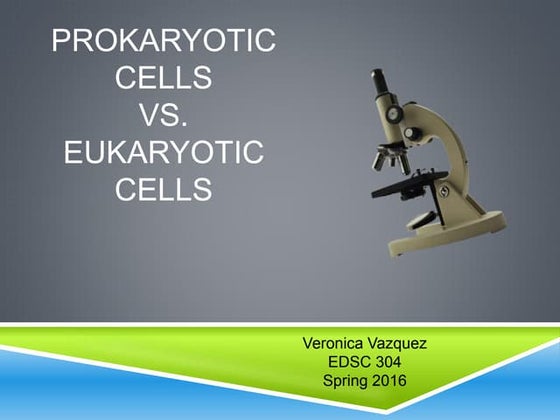 Prokaryotic cell | PPT