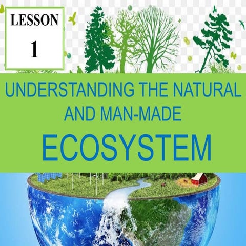 The-Seven(7)-Environmental-Principles-.pdf