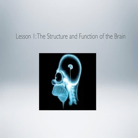 Lesson 1 the structure and function of the brain 2015 | PPT