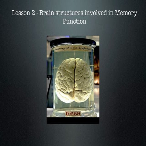 Lesson 2 brain structures involved in memory function 2015 | PDF ...
