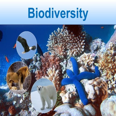 Biodiversity | PPT | Agriculture | Industries