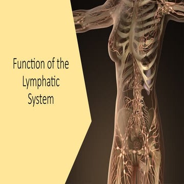 Function of the Lymphatic System (1) (4).pptx