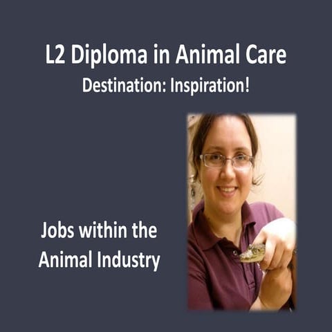 Lesson 2 jobs within the animal industry | PPTX