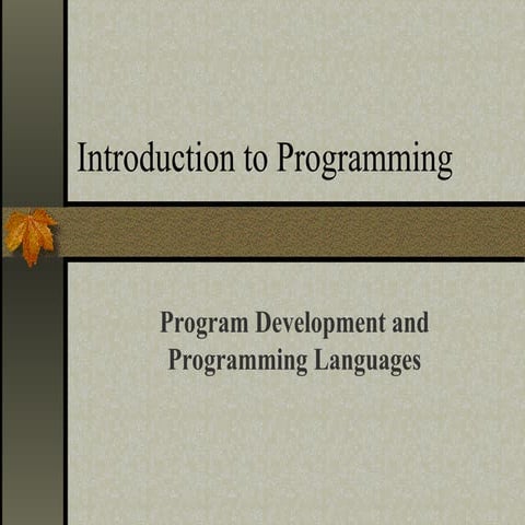 Program development life cycle | PPTX
