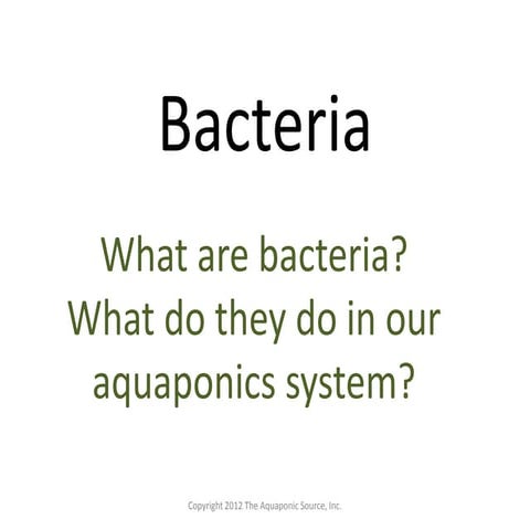 Lesson 20 bacteria | PPTX