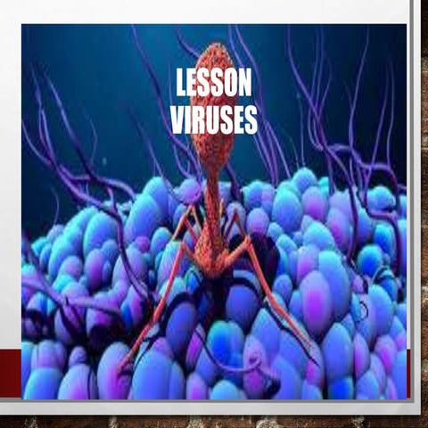 Lesson 20 viruses | PPT