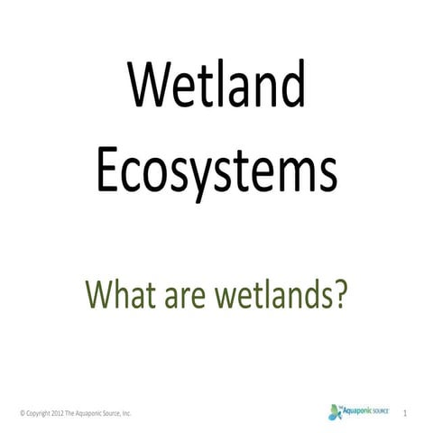 Lesson 22 wetlands | PPT