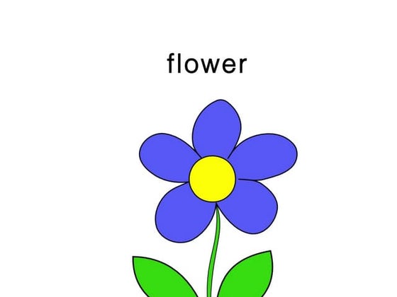 Phonics Lesson 32 | PPT