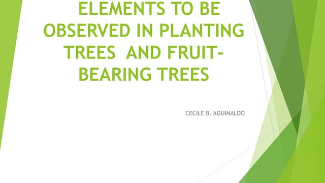 Avenue planting - Definition, function and types | PPTX