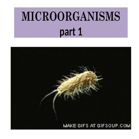 Lesson 2b_Microorganisms part 1.ppt is about how microorganisms thrive ...