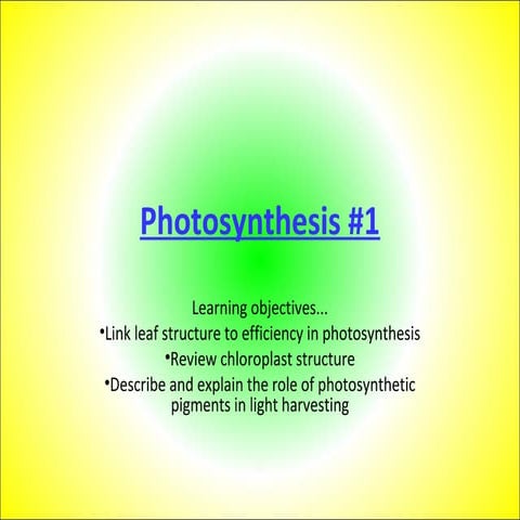 Lesson 2 chloroplast structure and leaf adaptations | PPT
