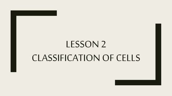 Lesson 4 Cell Modifications | PDF | Biological Sciences | Science