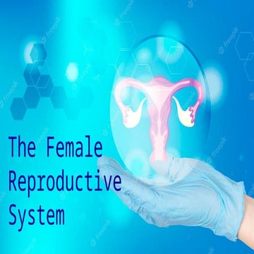 Lesson 2 Female Reproductive system.pptx