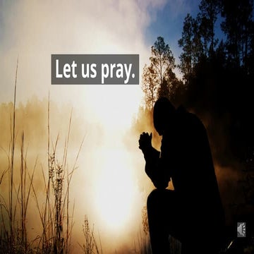 Grain structure of major cereals, pulses and oilseed | PPTX