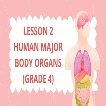 MAJOR ORGANS IN HUMAN BODY | PPT