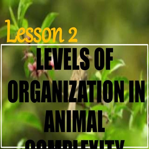 LESSON 2_LEVELS OF ORGANIZATION IN ANIMAL COMPLEXITY_2.ppt