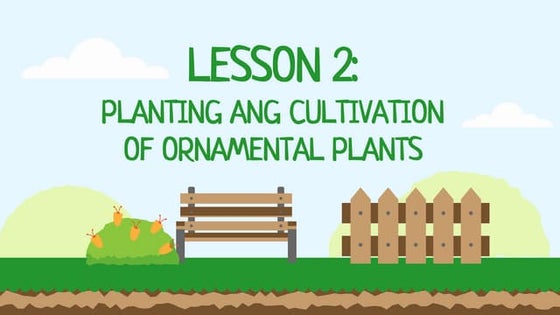 Caring for Plants | PPT