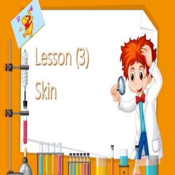 The skin of Human | PPT
