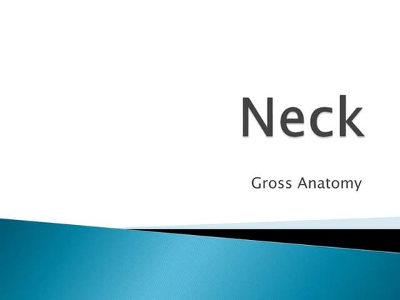 Suboccipital region and muscles of back | PPT