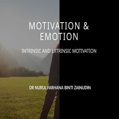 Understanding Intrinsic and Extrinsic Motivation: Key Factors and ...