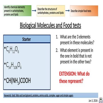 Lesson 3 - Biomolecules and their Funcstion | PPTX