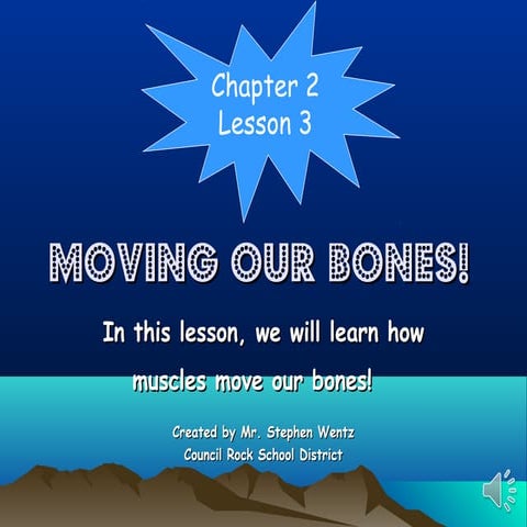 Muscular system power point | PPTX