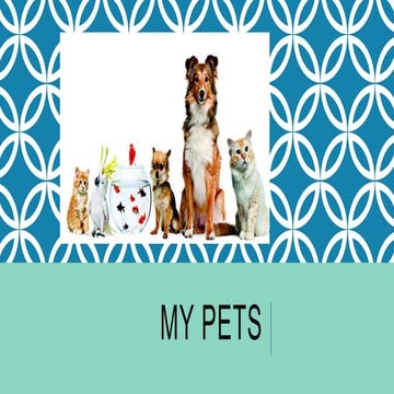 my pets | PPTX