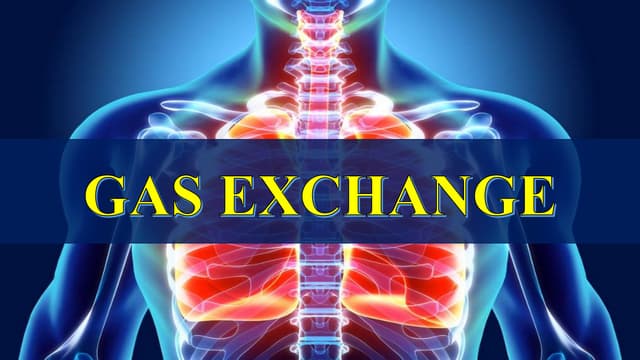 physiology Mechanism of gaseous exchange in aquatic respiratory structures | PPTX