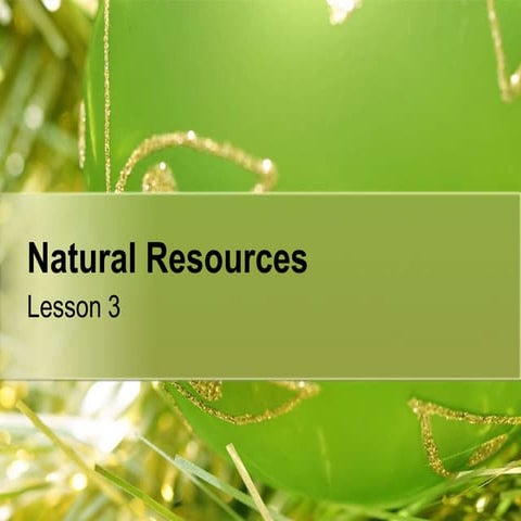 Lesson 3 (natural resources) | PPTX
