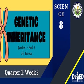 QUARTER 1 Lesson3_Pattern of Inheritance .pptx