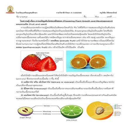 Lesson3 plantgrowth2 | PDF