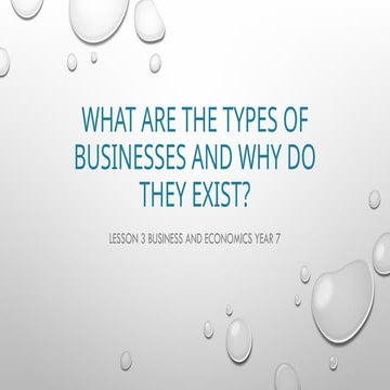 Lesson 3 Types of business and their characteristics.pptx