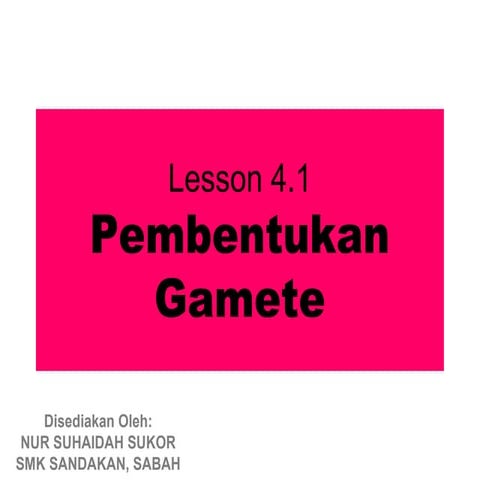 Lesson 4.1 | PPT