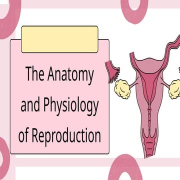 Female Reproductive System Grade 10 - PPT | PPTX