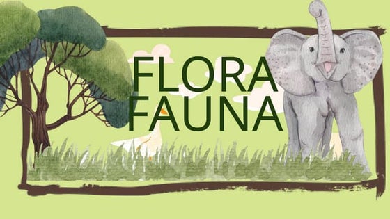 Flora and Fauna in the Philippines | PPT