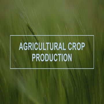 Agri-Crop Production - Lesson 3 interpret plans and drawings | PDF