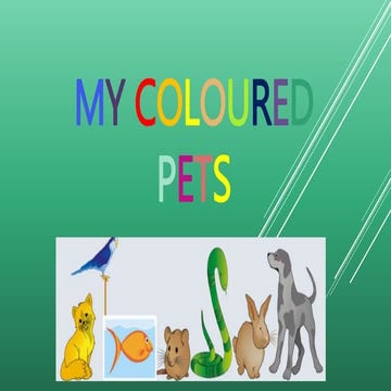 my coloured pets | PPT