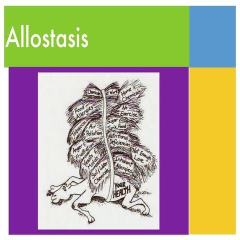 Lesson 4 allostasis | PDF