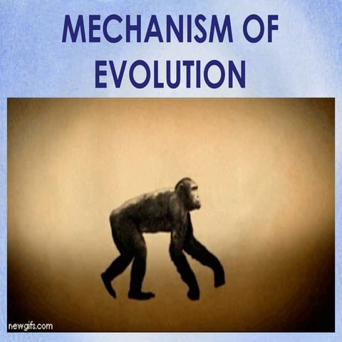 Earth and Life Science Grade 11 Lesson 4 Basic Mechanisms of Evolution.ppt