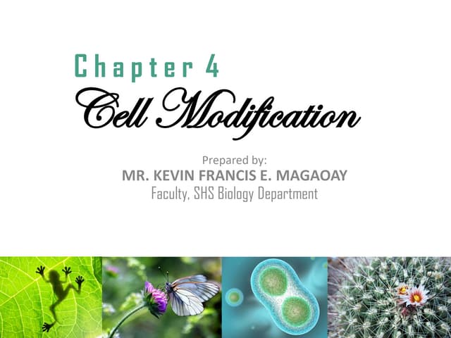 Lesson4 cell modifications | PPTX
