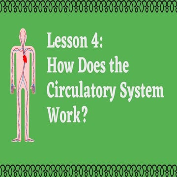 Lesson 4 How Does the Circulatory System Work.pdf
