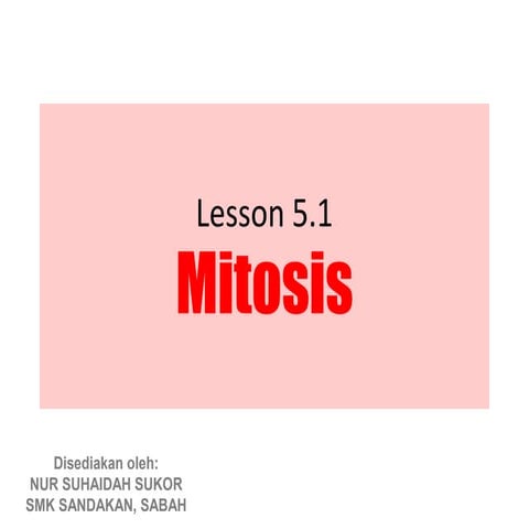 Lesson 5.1 | PPT