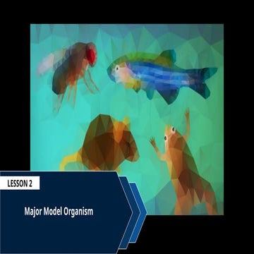 Lesson 5 - Developmental Biology Lecture .pptx