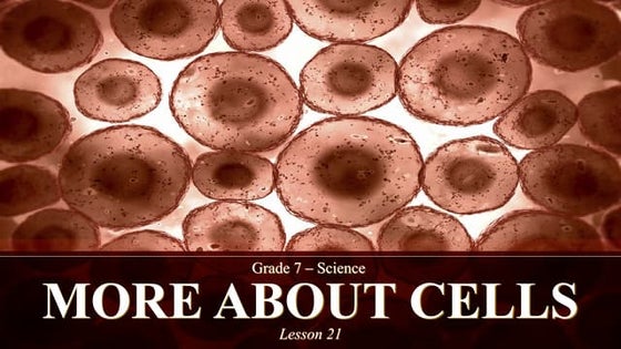 Detailed lesson plan- CELL CYCLE. DELA CRUZ, IRISH | PPT
