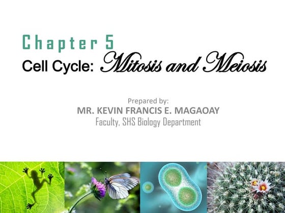 Lesson4 cell modifications | PPT