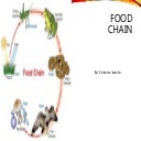 Lesson 5 food chains vb | PPTX