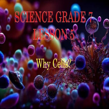 Lesson5_G7.pptx fmdlkmvdklmvkldfmvkldfmvkldfmvkldflkv | PPT