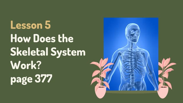 Skeletal system grade IV | PPTX