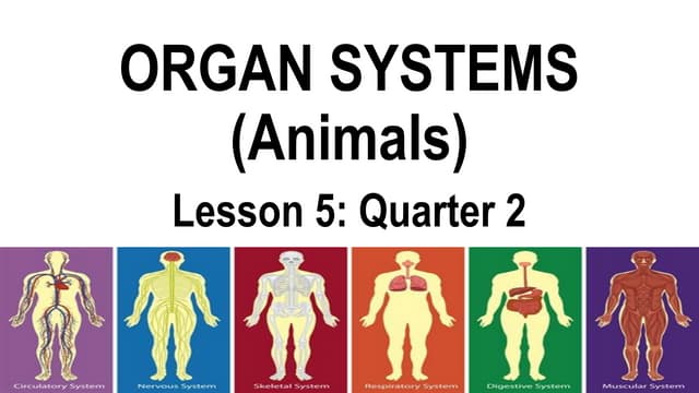 Cells to body systems (science) | PPT