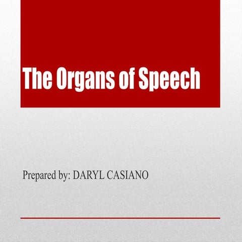 The Organs of Speech | PPTX